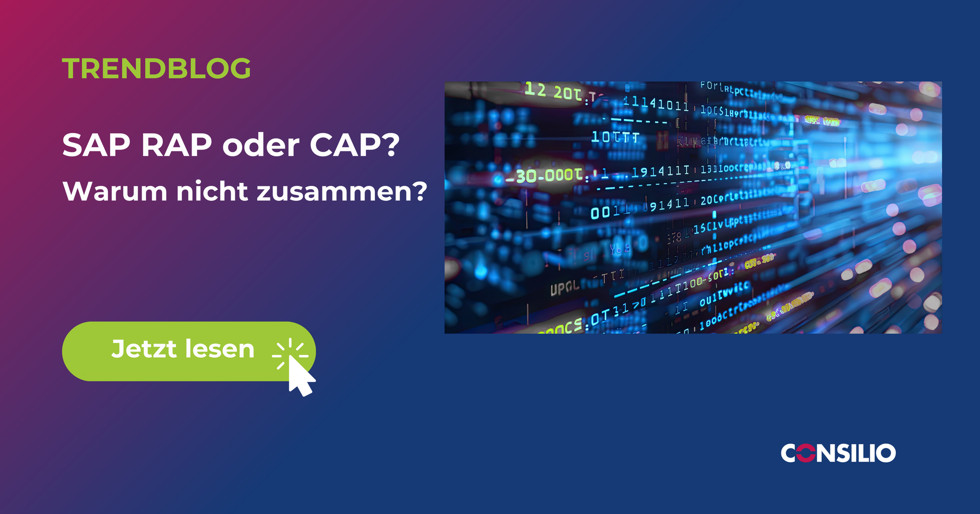 SAP CAP and SAP RAP: two programming models