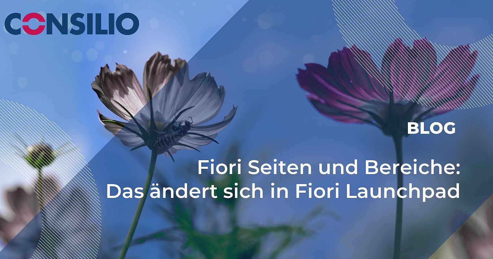 Fiori Pages and Spaces: What changes in Fiori Launchpad