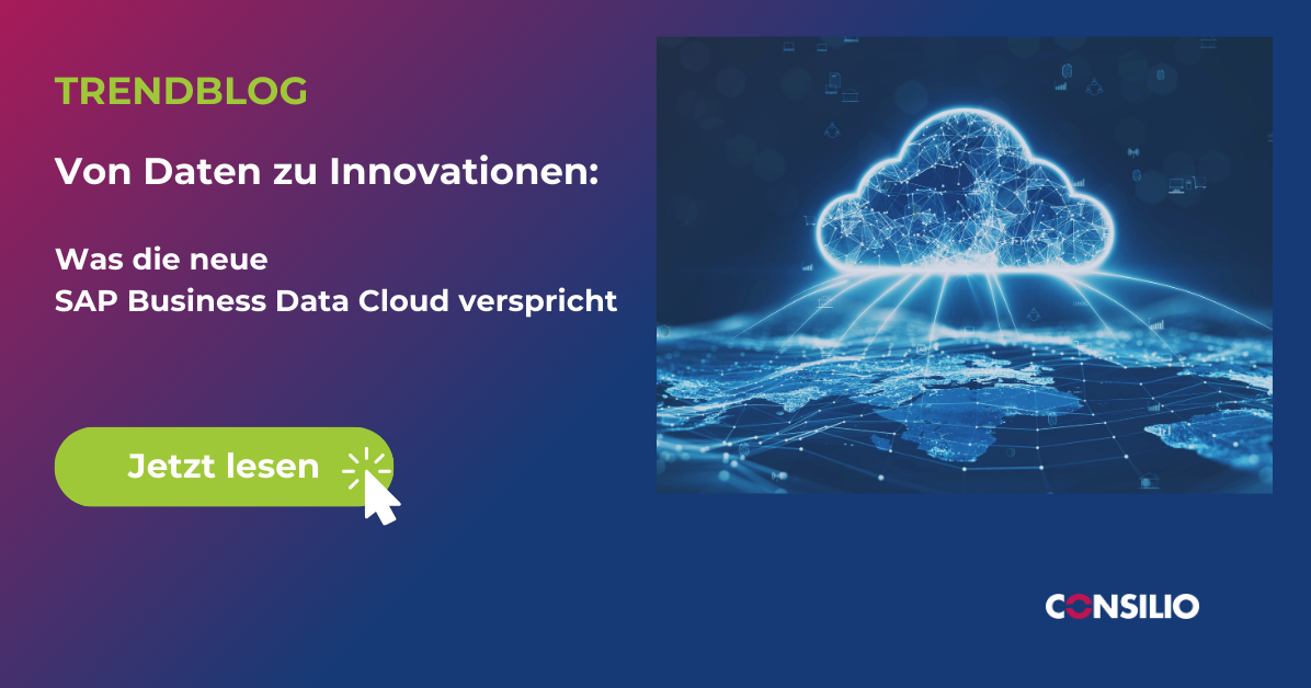 What the new SAP Business Data Cloud promises - CONSILIO