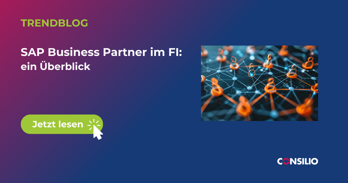 SAP Business Partner in Finance: an overview