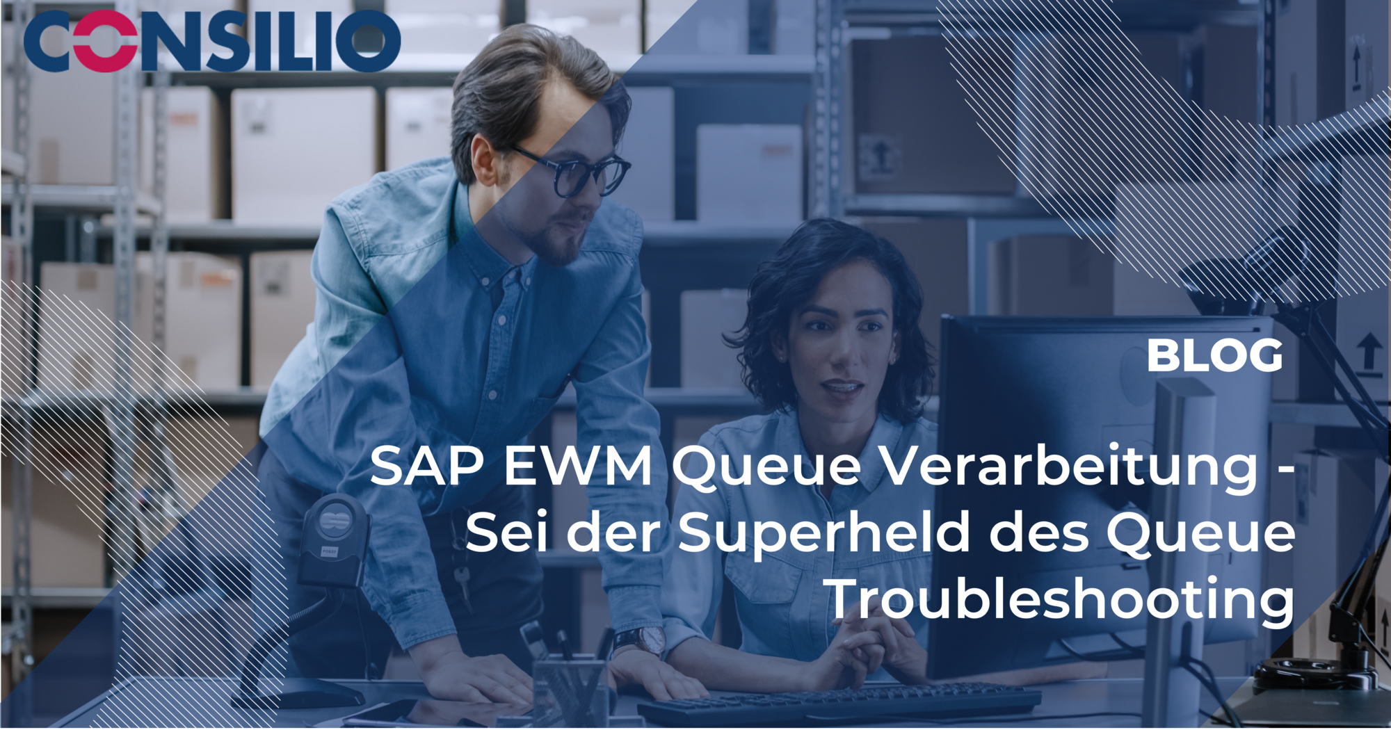 SAP EWM Queue Maintenance